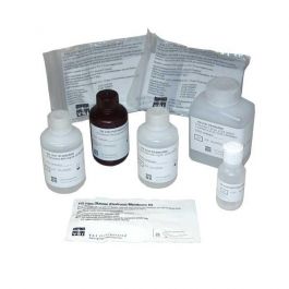 Glycerol Starter Kit | Mandel Scientific
